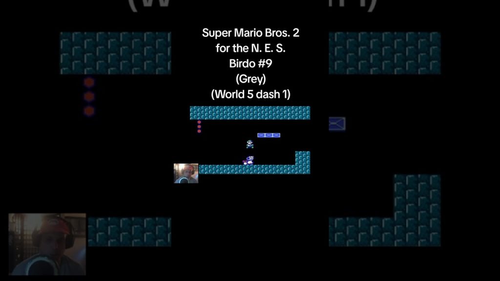 Birdo #9 (Grey) Super Mario Bros 2 (World 5-2) #shorts – Video Gamers Oasis
